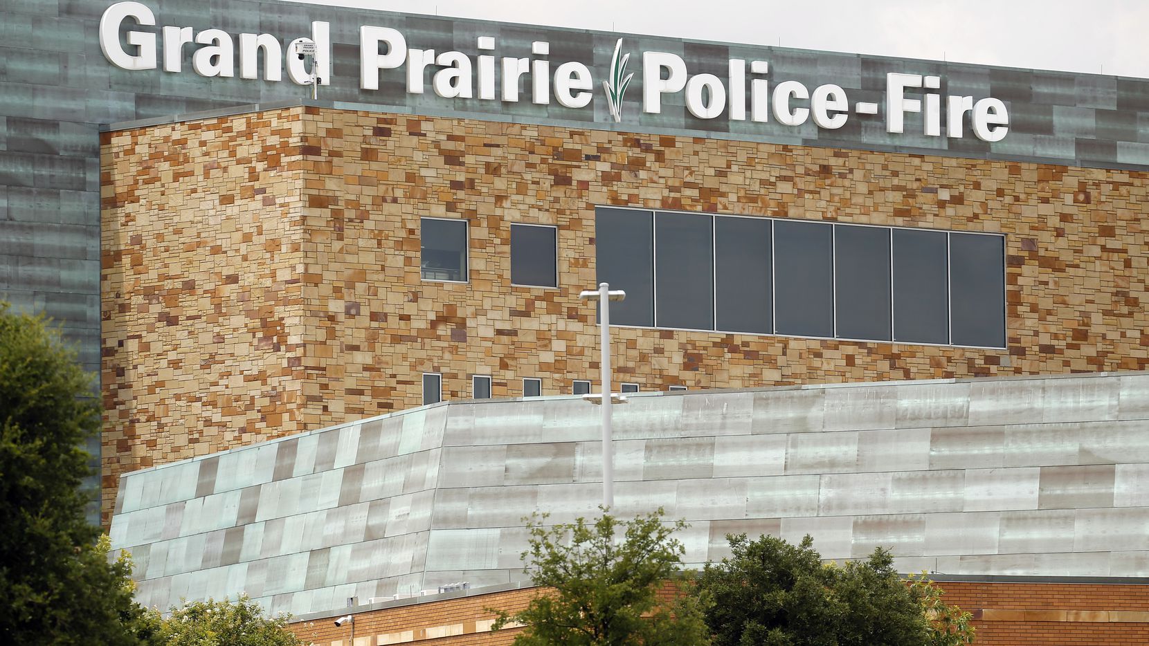 Cobra venenosa anda suelta en Grand Prairie, USA - En La Mira